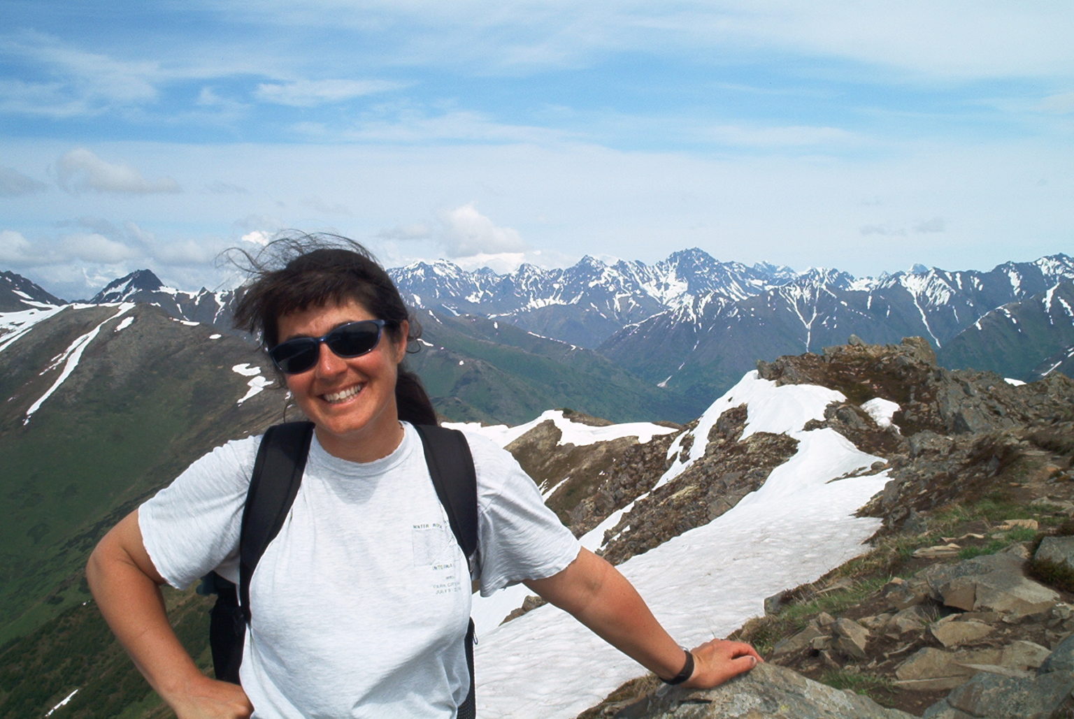 August 11: Lisa Stillings, USGS - Lithium Resource Research and ...